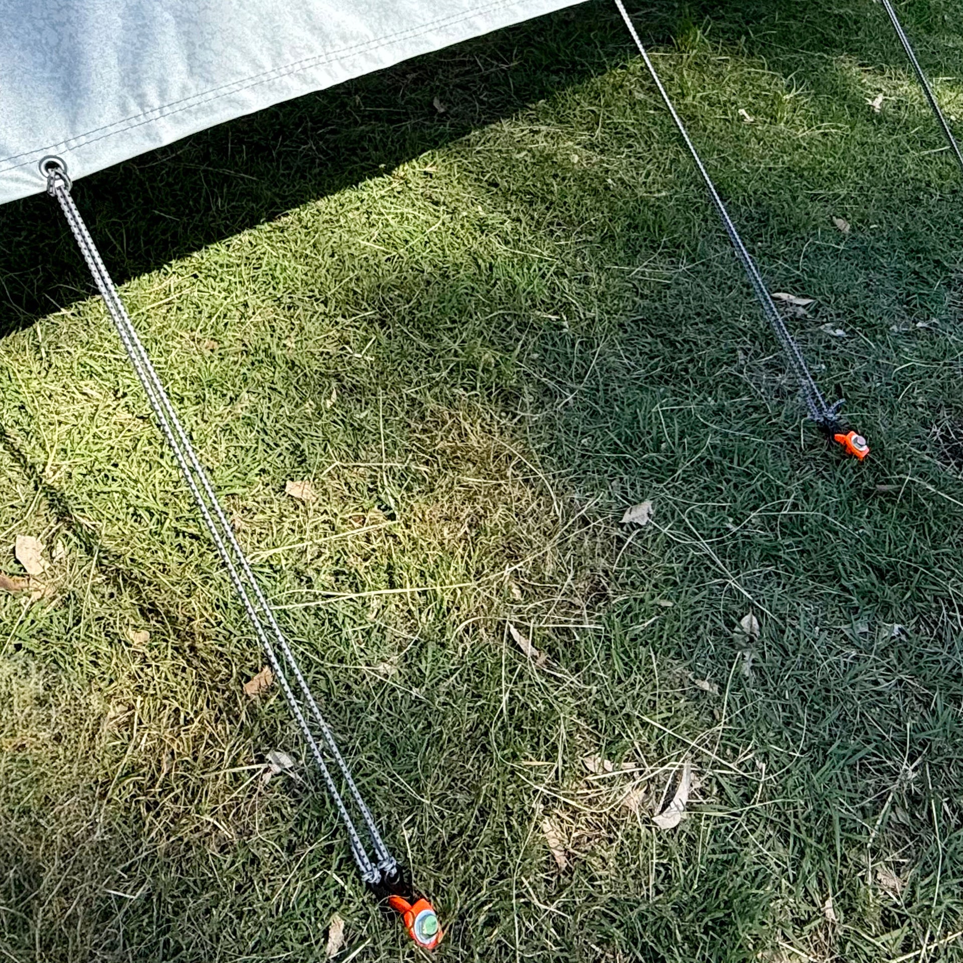 Walls – Aussie Traveller